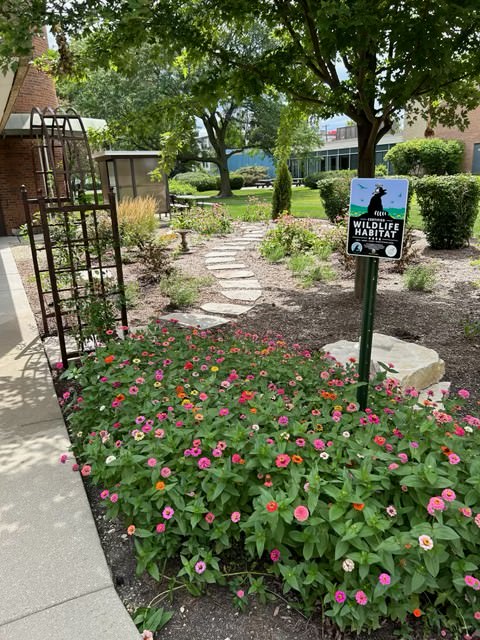 Landscape Enhancement Service | Grassroots Landscape Specialties